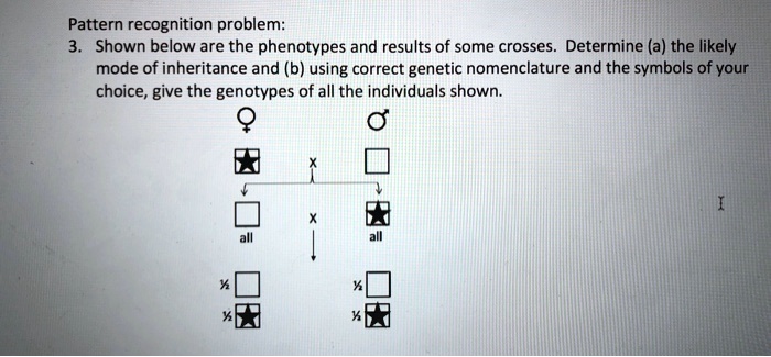 SOLVED: Pattern recognition problem: Shown below are the phenotypes and ... SOLVED: Pattern recognition problem: Shown below are the phenotypes and ...