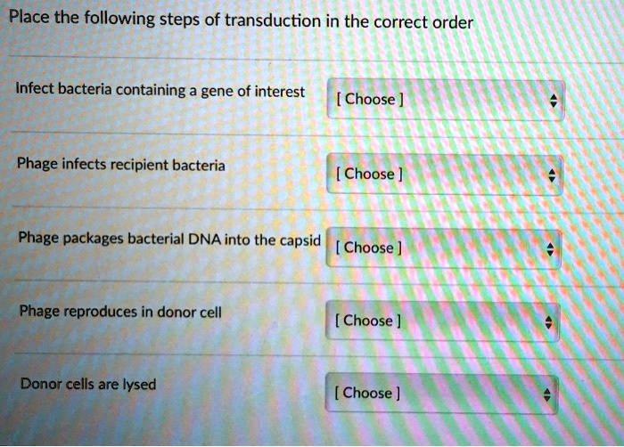 place the following steps of transduction in the correct order infect ...