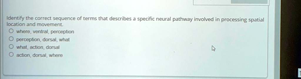 Identify the correct sequence of terms that describes a specific neural ...