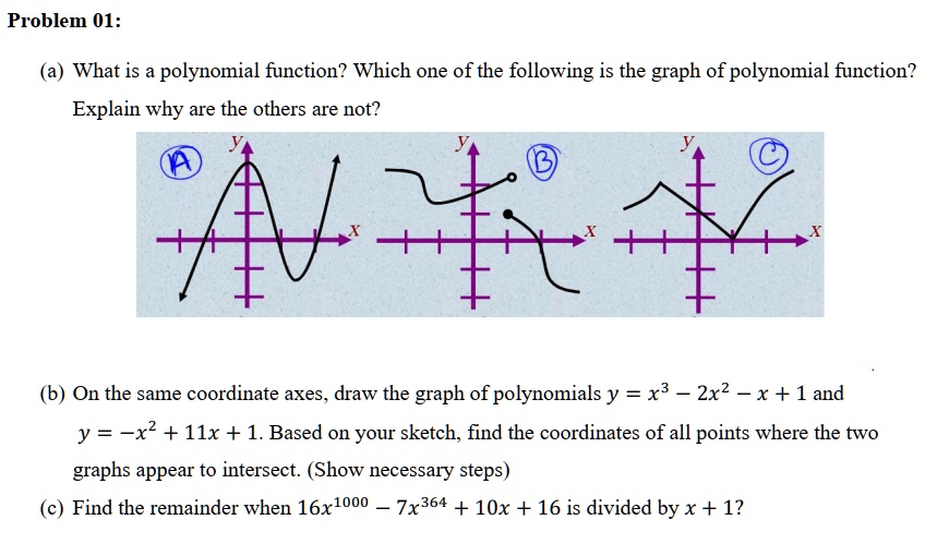 SOLVED:Problem 01: What is a polynomial function? Which one of the ...