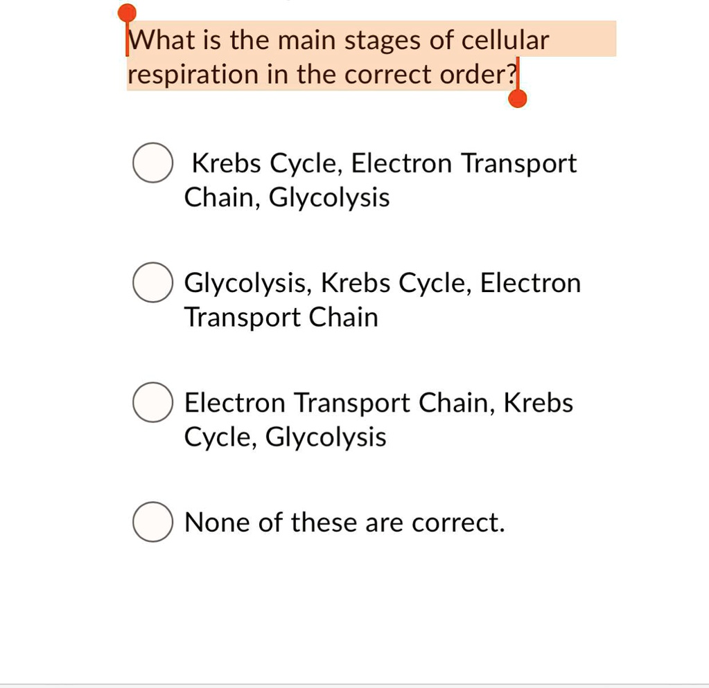 SOLVED: 'What is the main stages of cellular respiration in the correct ...