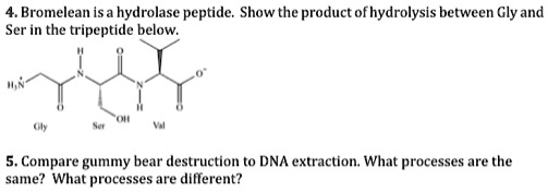 SOLVED: Bromelain is a hydrolase peptide. Show the product of ...