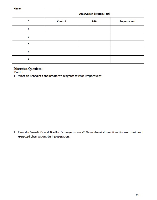 name observation protein test control bsa supematant discussion ...
