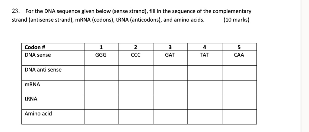 SOLVED: 23 For the DNA sequence given below (sense strand) , fill in the sequence of the ...