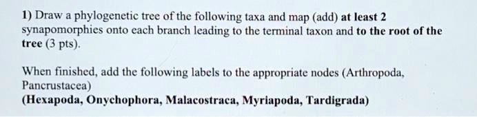 Draw a phylogenetic tree of the following taxa and map at least 2 ...