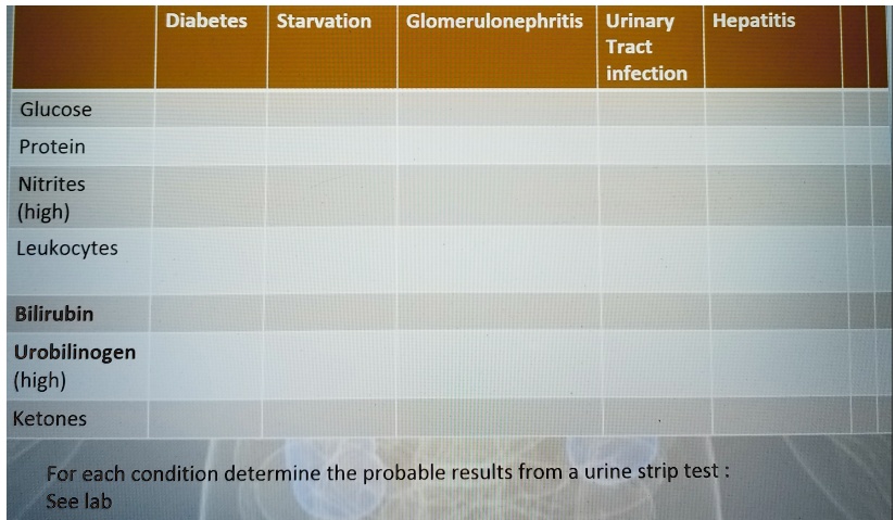Glucose Protein Nitrites (high) Leukocytes Diabetes Starvation ...