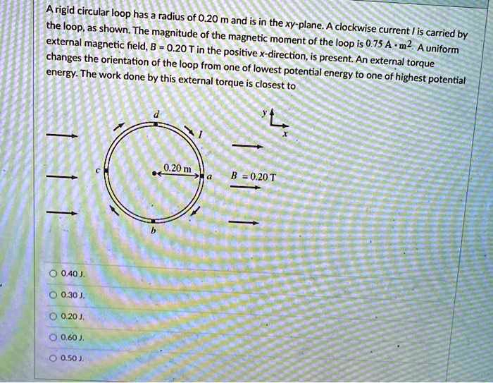A rigid circular loop has a radius of 0.20 m and is in the xy-plane. A clockwise current I is ...
