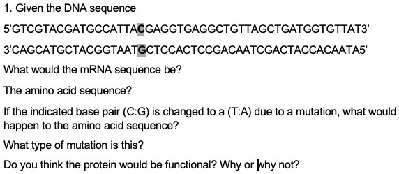 Solved 1 Given The Dna Sequence 5gtcgtacgatgccattacgaggtgaggctgttagctgatggtgttat3 3