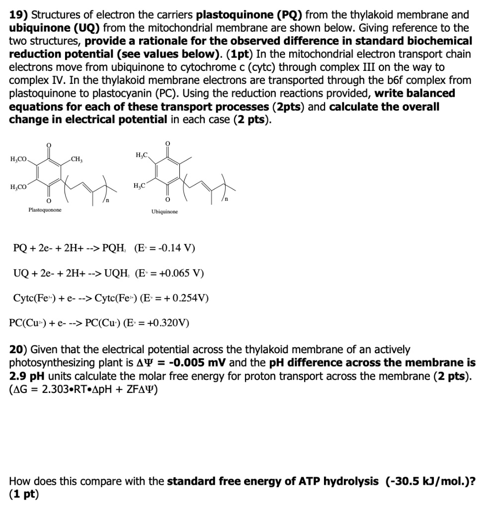 SOLVED: 19) Structures of electron carriers plastoquinone (PQ) from the ...