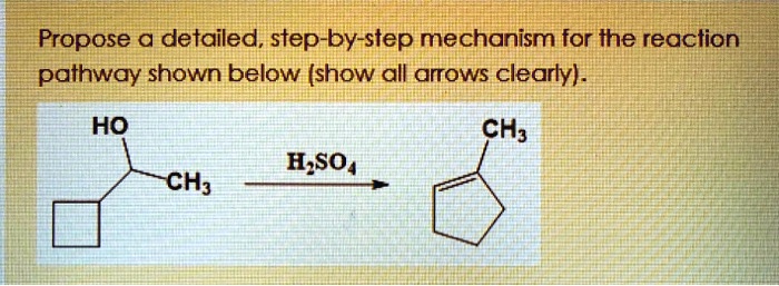 SOLVED: Propose a detailed; step-by-step mechanism for the reaction pathway shown below (show ...