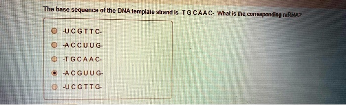 SOLVED: The base sequence of the DNA template strand is TGCAAC. What is ...