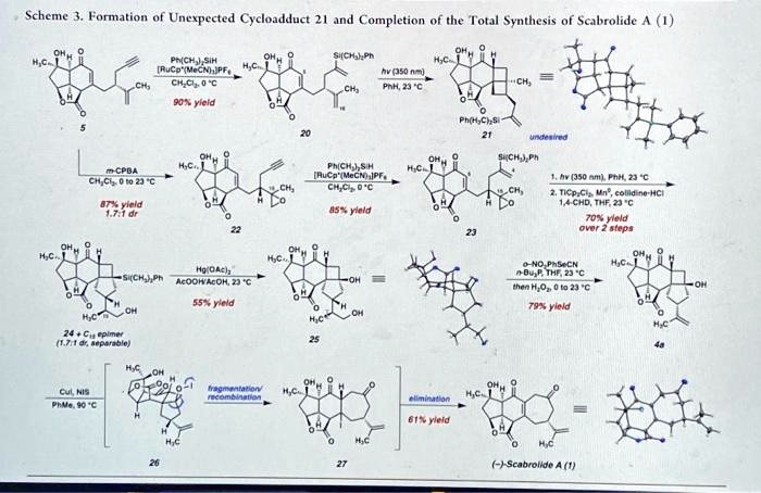SOLVED: Texts: Please identify all reactions and label them with the ...