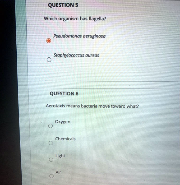 Question 5 which organism has flagella pseudomonas...