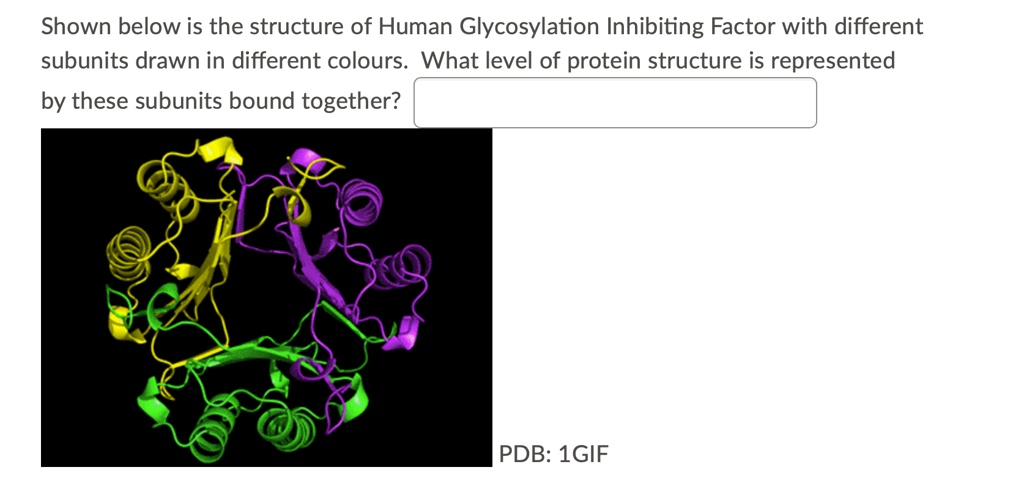 shown below is the structure of human glycosylation inhibiting factor ...
