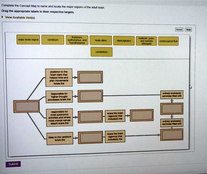 Complete the Concept Map to name and locate the major regions of the ...