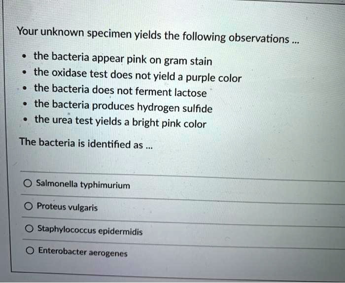 Your unknown specimen yields the following observations ... • the ...