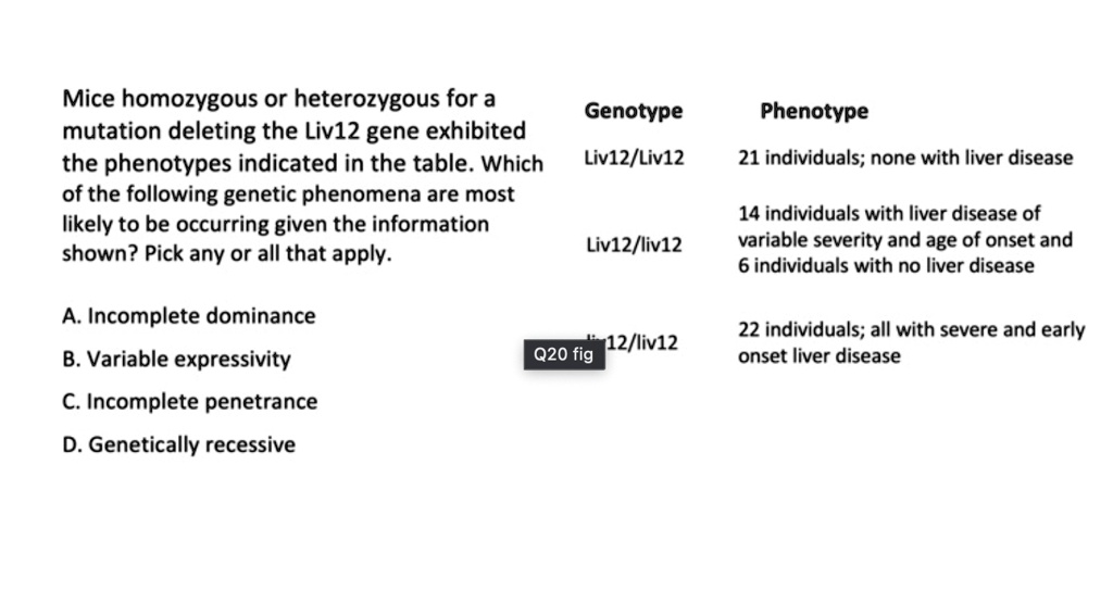 Mice homozygous or heterozygous for a mutation deleting the Liv12 gene ...