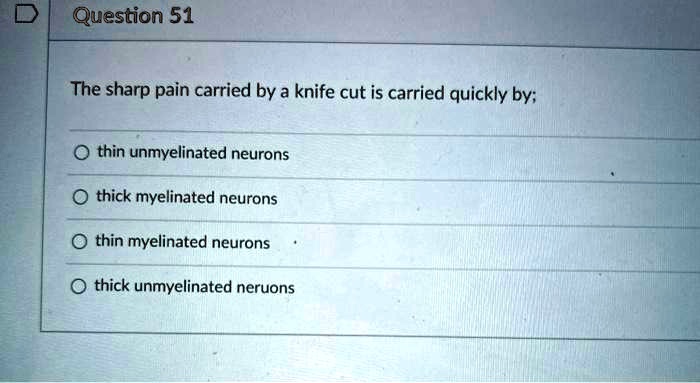 question 51 the sharp pain carried by a knife cut is carried quickly by ...