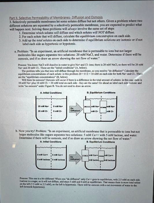 texts part ii selective permeability of membranes diffusion and osmosis ...
