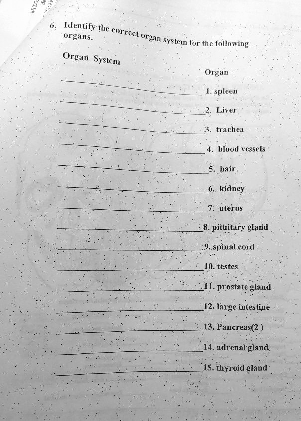 SOLVED: Identify: he . organs correct = organ syslem for the following ... SOLVED: Identify: he . organs correct = organ syslem for the following ...