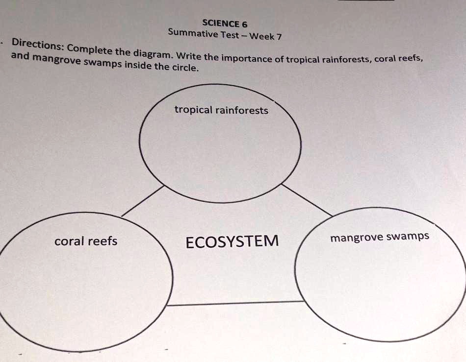 SCIENCE 6 Summative Test - Week 7 Directions: Complete the diagram ...