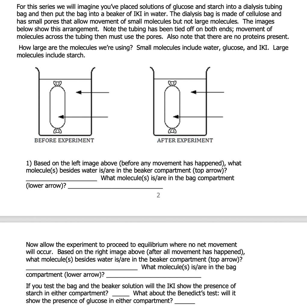 for this series we will imagine youve placed solutions of glucose and starch into a dialysis ...