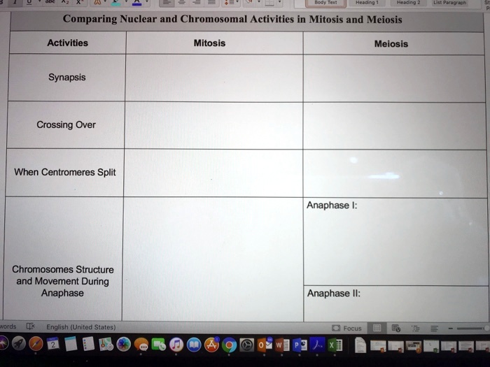 comparing nuclear and chromosomal activities in mitosis and meiosis ...
