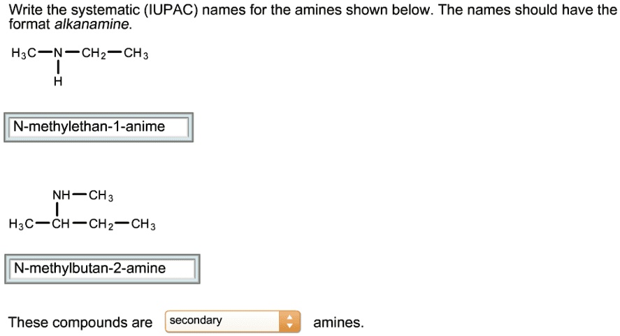 SOLVED: Write the systematic (IUPAC) names for the amines shown below. The names should have the ...