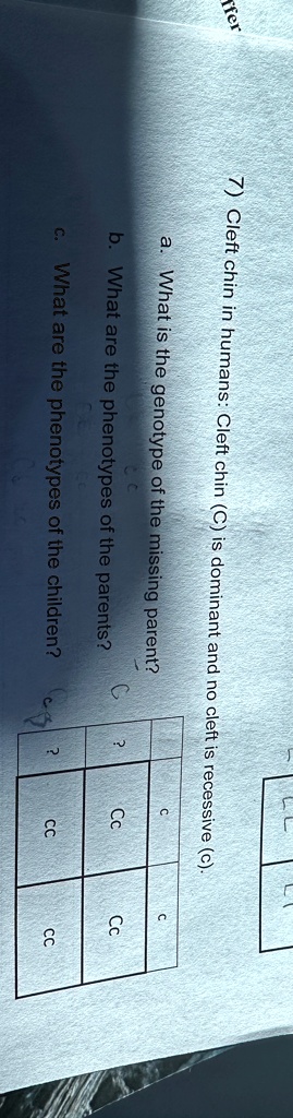 7) Cleft chin in humans: Cleft chin (C) is dominant and no cleft is ...