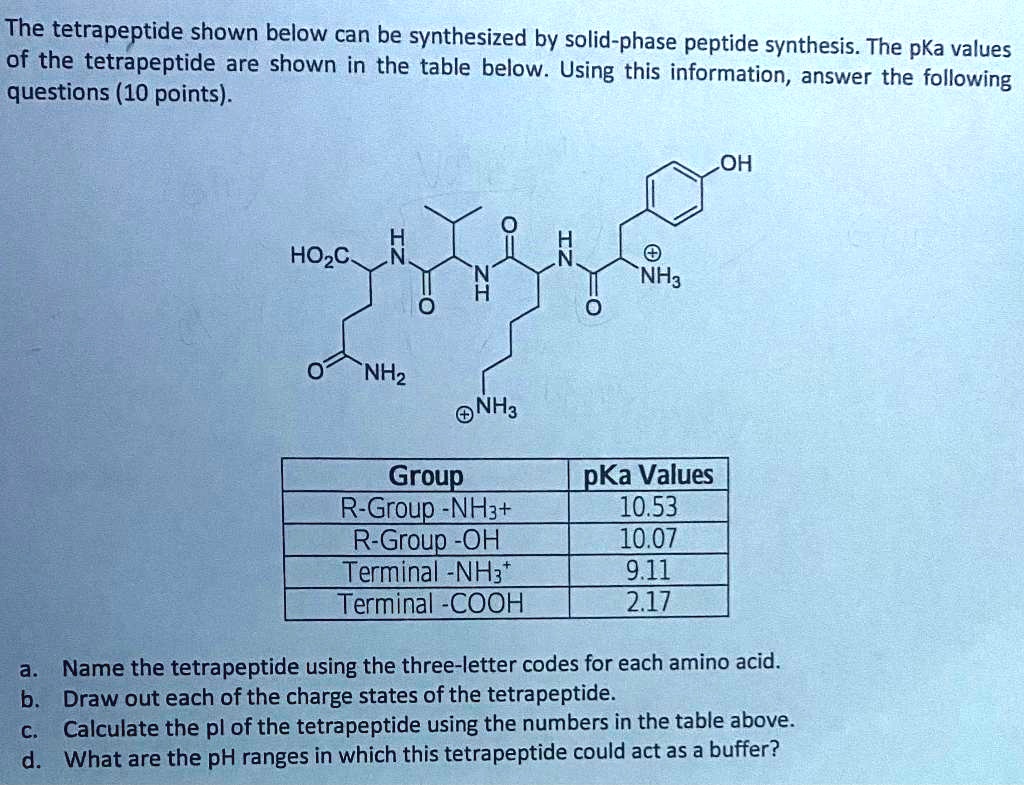 SOLVED: The tetrapeptide shown below can be synthesized by solid-phase ...