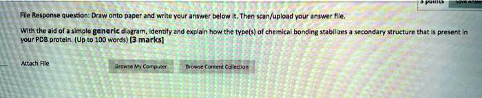 SOLVED: Title: Stabilization of Secondary Structure in PDB Proteins through Chemical Bonding ...