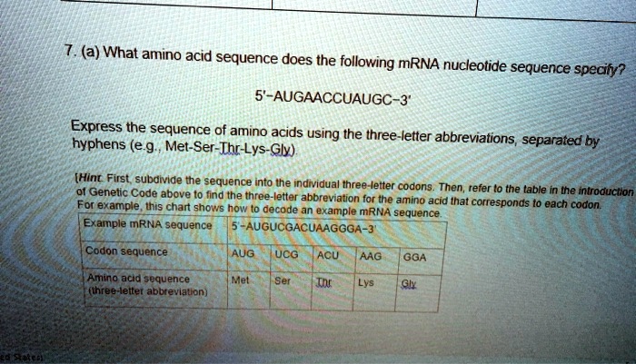 SOLVED: What amino acid sequence does the following mRNA nucleotide ...