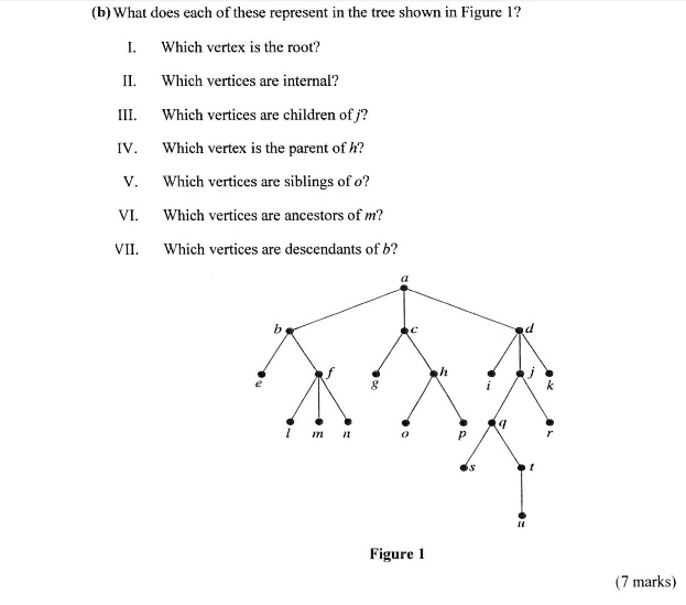 SOLVED: (h) What does each of these represent in the tree shown in ...
