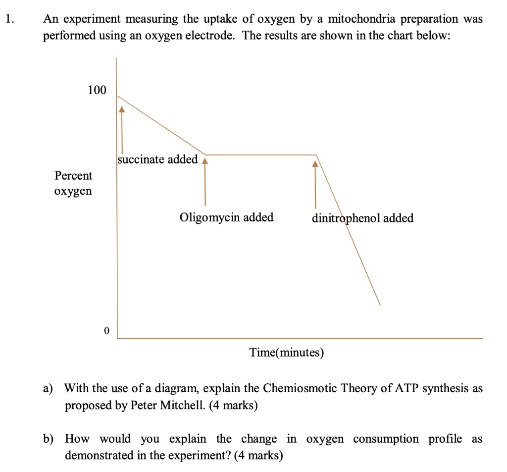 an experiment measuring the uptake of oxygen by a mitochondria ...