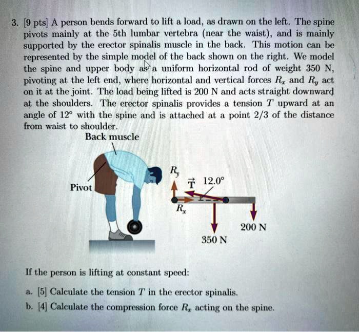 SOLVED: [9 pts] A person bends forward to lift a load, aS drawn on the ...