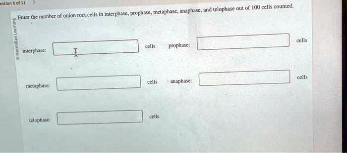 SOLVED: Question 6 of 11 Macmillan Learning: Enter the number of onion ...