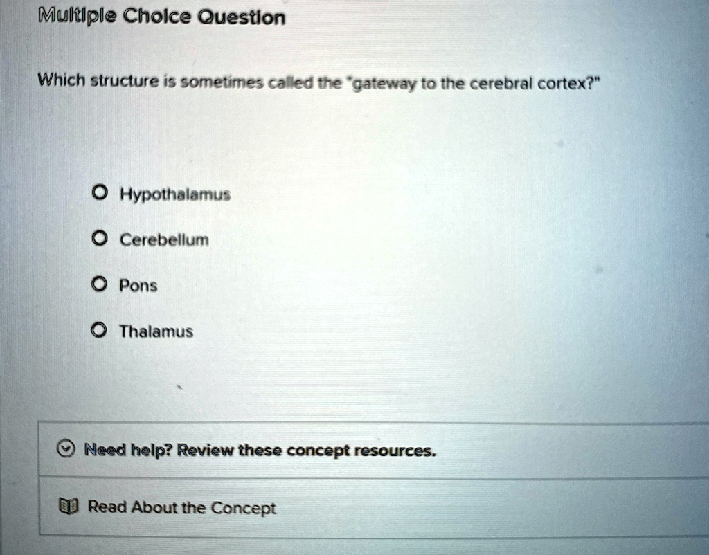 multiple choice question which structure is sometimes called the gateway to the cerebral cortex ...