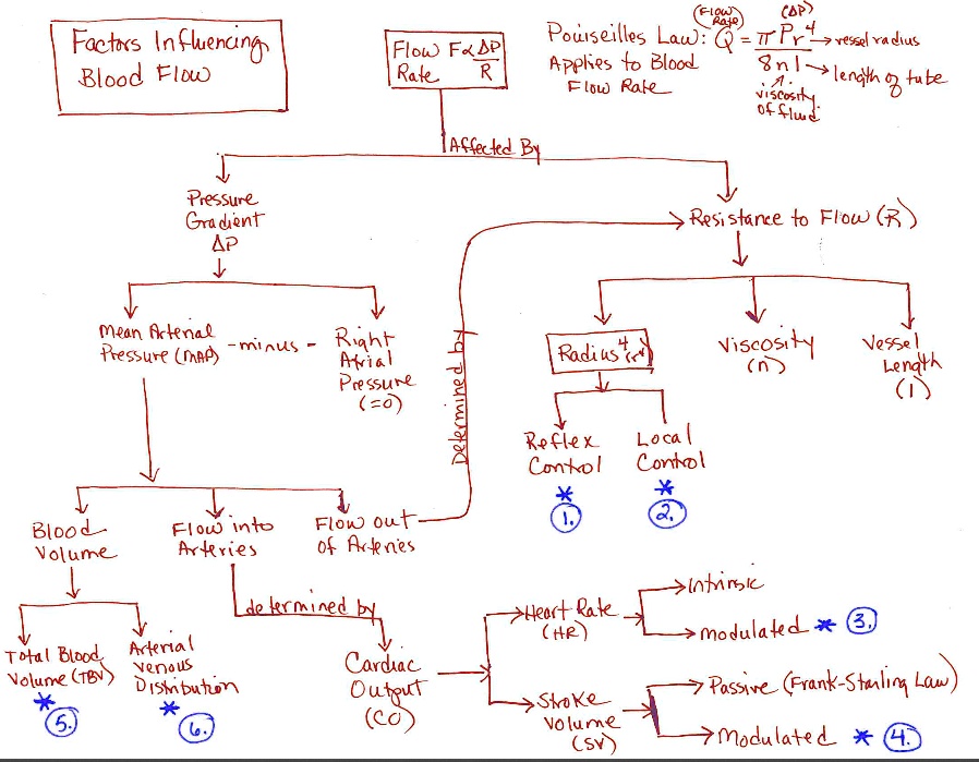 SOLVED: The attached flow chart describes the factors that influence ...