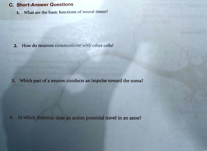 C. Short-Answer Questions 1. What are the basic functions of neural ...