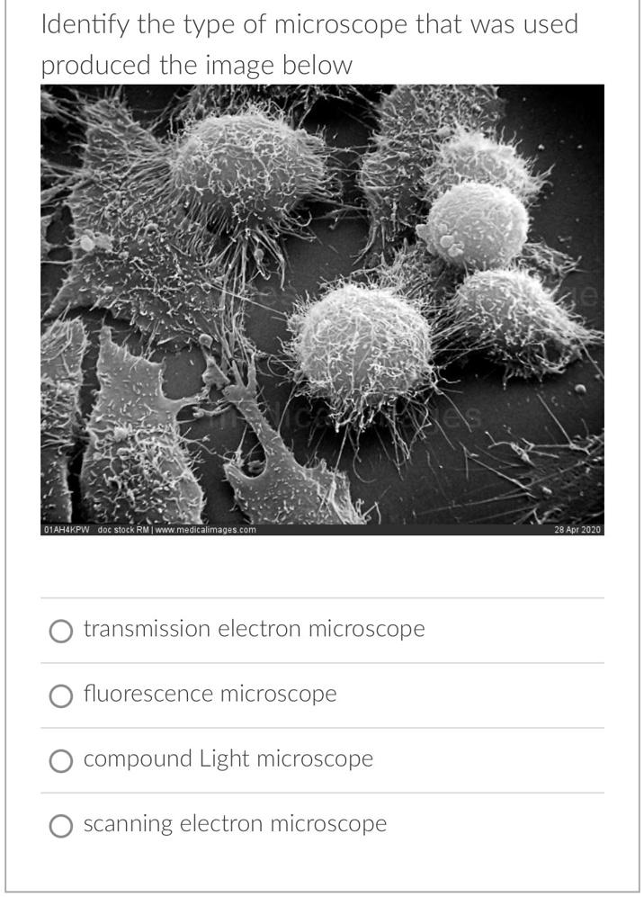 SOLVED: Identify the type of microscope that was used produced the ...