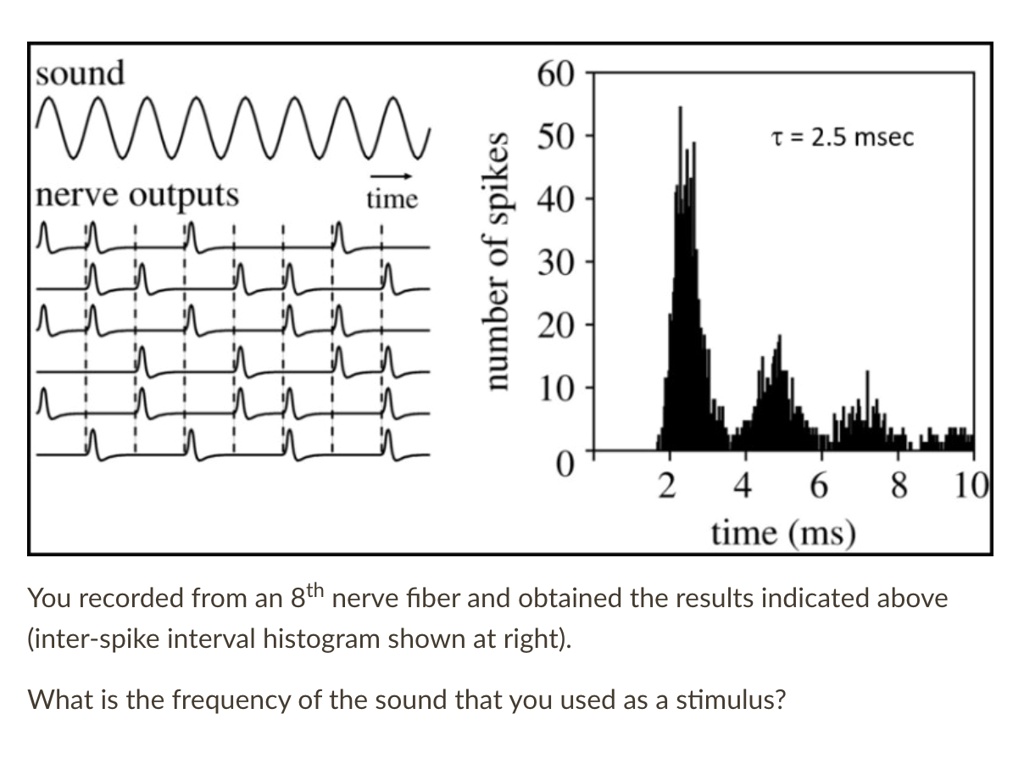 SOLVED: A. 40 HzB. 400 HzC. 4000 Hz sound 60 50 time 40 number of ...