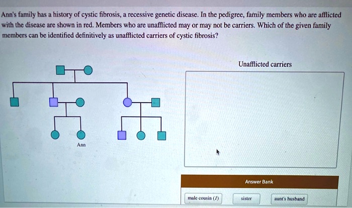 ann family has history of cystic fibrosis recessive genetic disease in ...