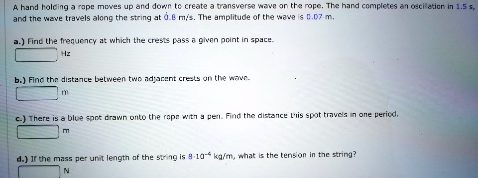SOLVED: A hand holding a rope moves up and down to create a transverse ...