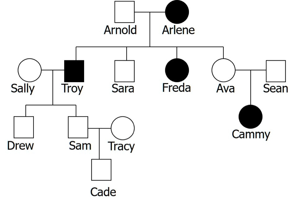 arnold arlene sally sara freda ava sean cammy drew sam tracy cade troy ...