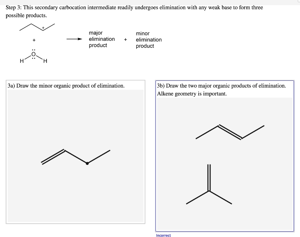 SOLVED: Step 3: This secondary carbocation intermediate readily ...