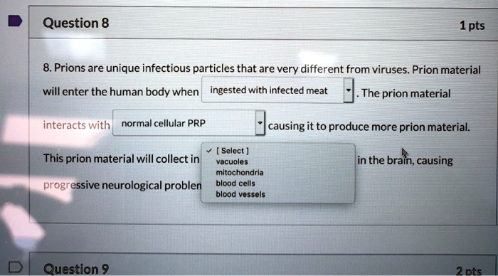 question 8 8prions are unique infectious particles that are very ...