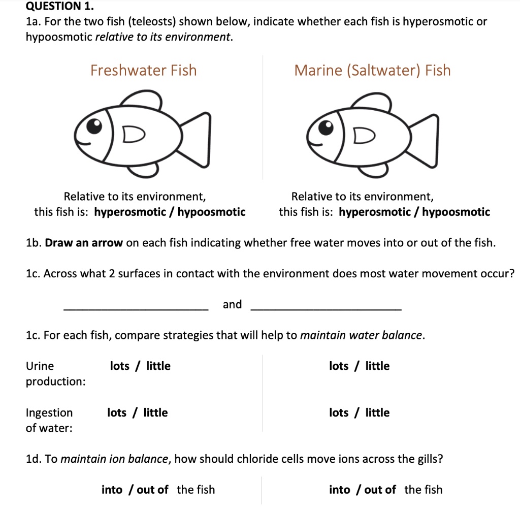 SOLVED: QUESTION 1. la. For the two fish (teleosts) shown below ...