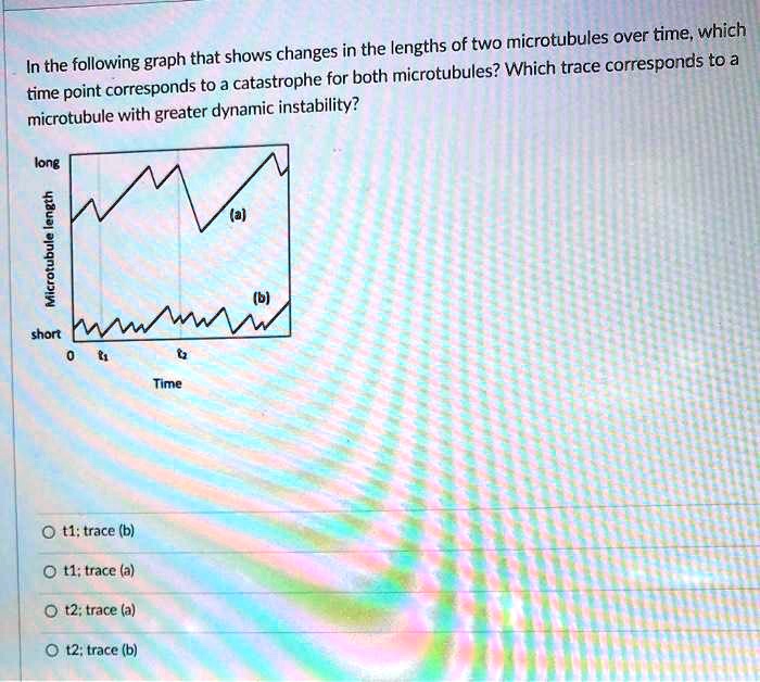 SOLVED: in the lengths of two microtubules over time; which In the following graph that shows ...