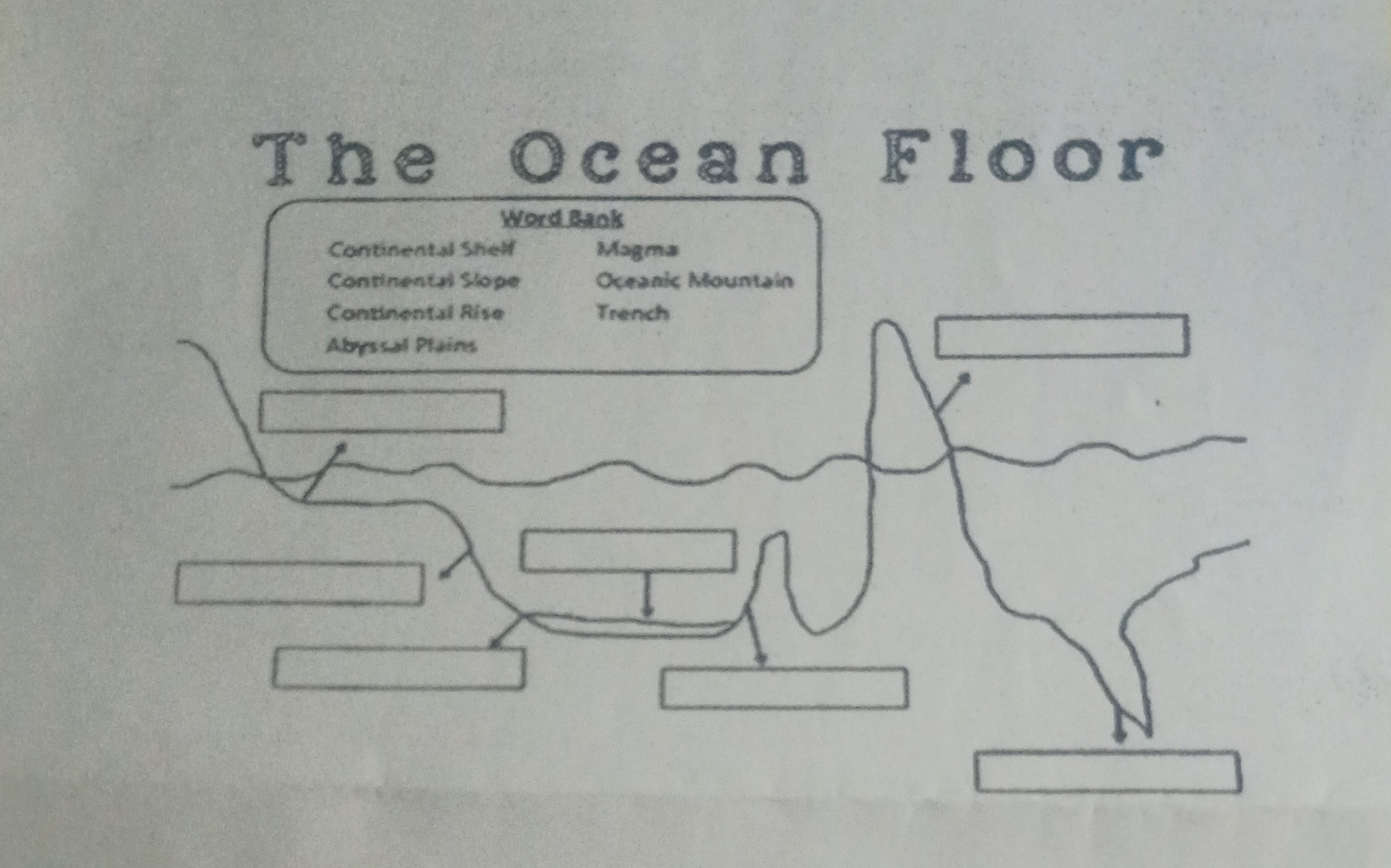 SOLVED: The ocean Floor
