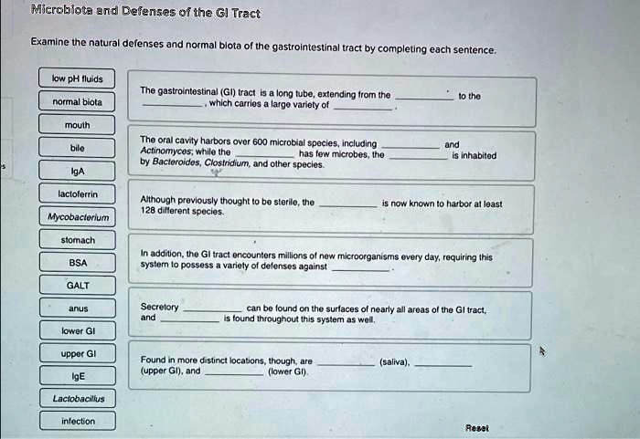 Examine the natural defenses and normal biota of the gastrointestinal ...